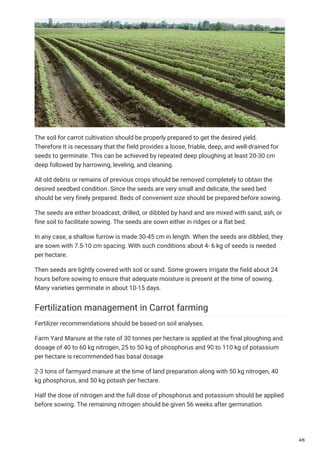 The ultimate guide for carrot farming 2018 | PDF | Agriculture | Industries