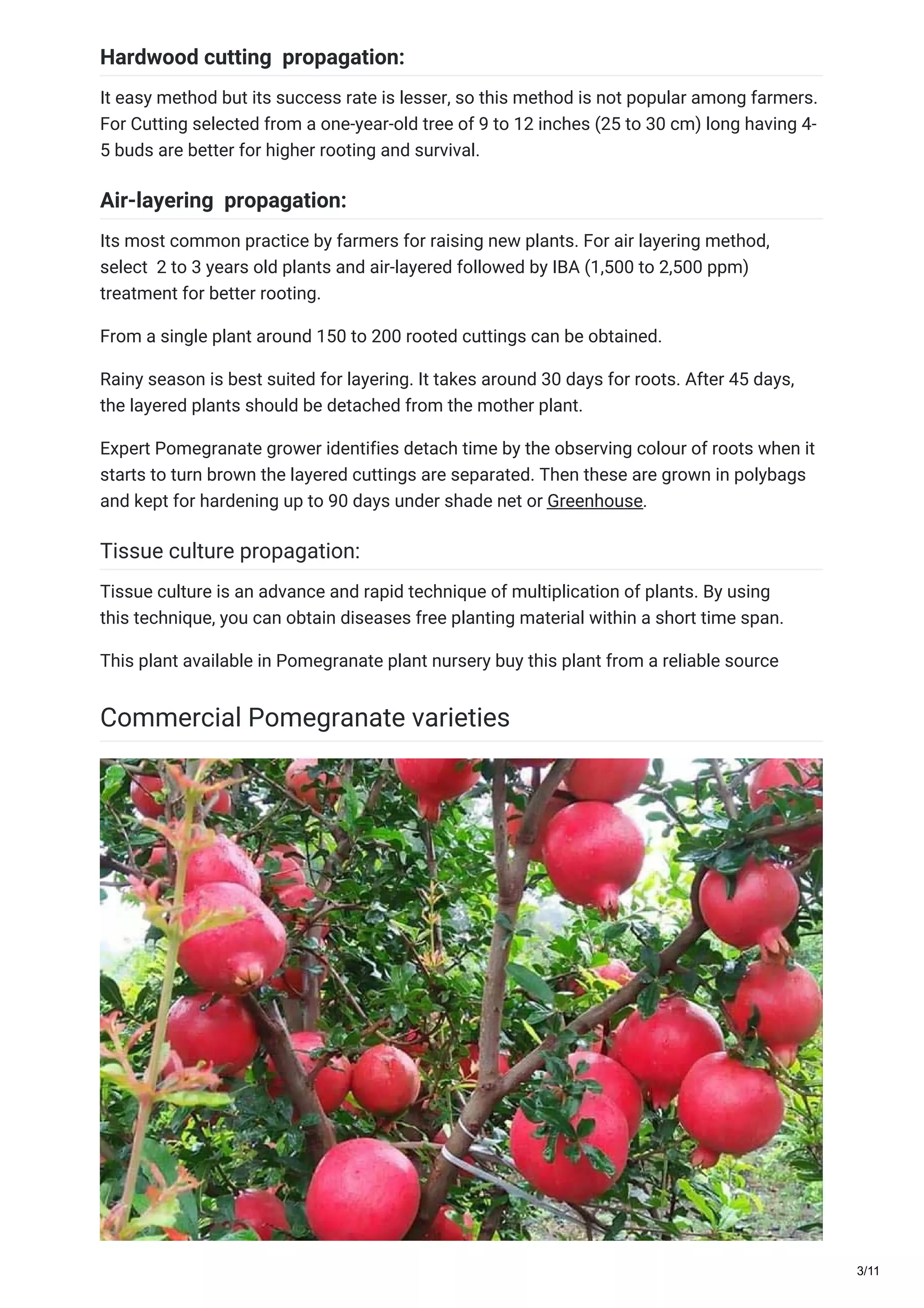 T ultimate guide for pomegranate farming 2018 | PDF