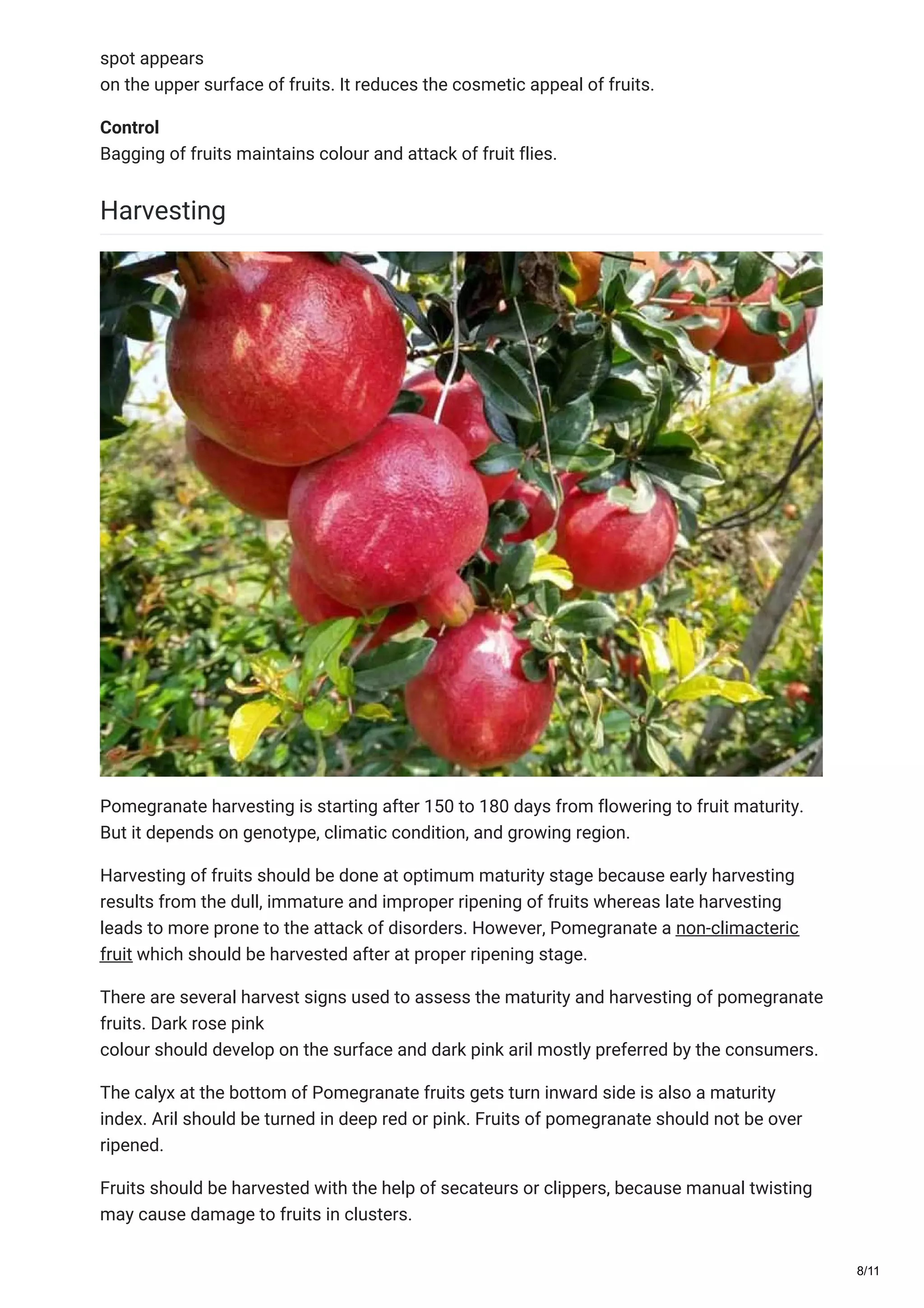 T ultimate guide for pomegranate farming 2018 | PDF