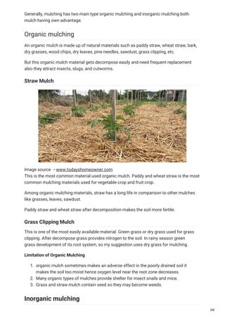 Mulching guide improve your crop yield | PDF
