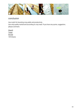 Mulching guide improve your crop yield | PDF