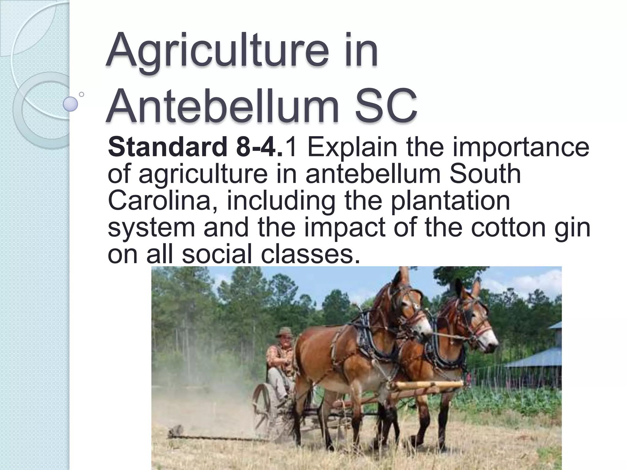 Agriculture in antebellum sc84.1 | PPTX