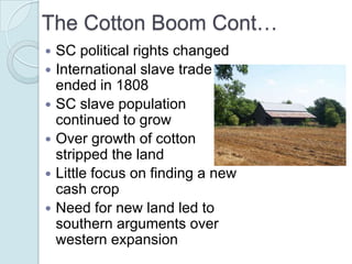 Agriculture in antebellum sc84.1 | PPT