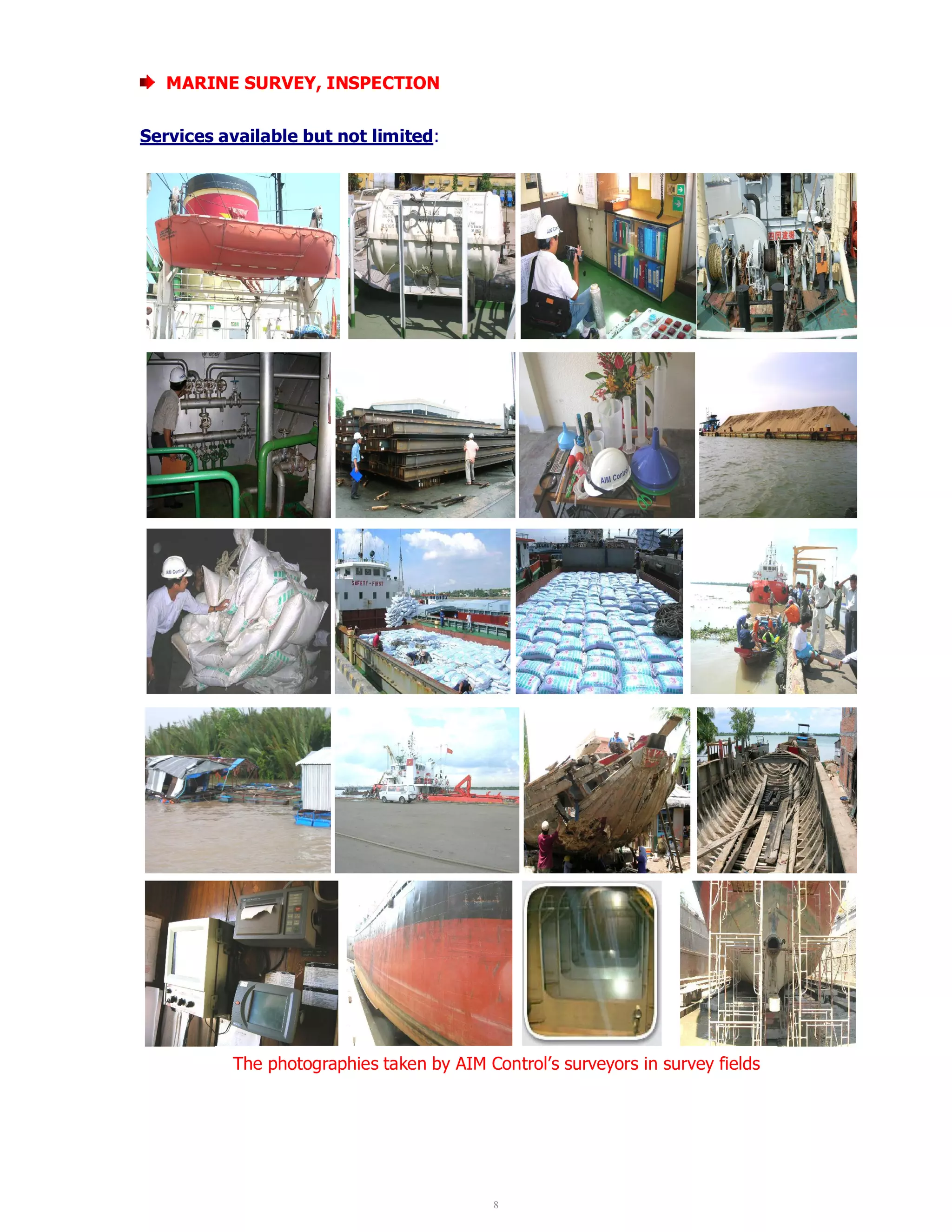Marine Surveyors Tally and Quality Cargo Inspection Company | PDF