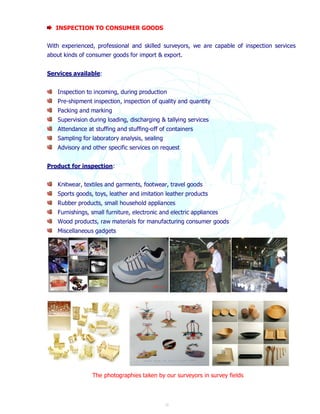 Marine Surveyors Tally and Quality Cargo Inspection Company | PDF