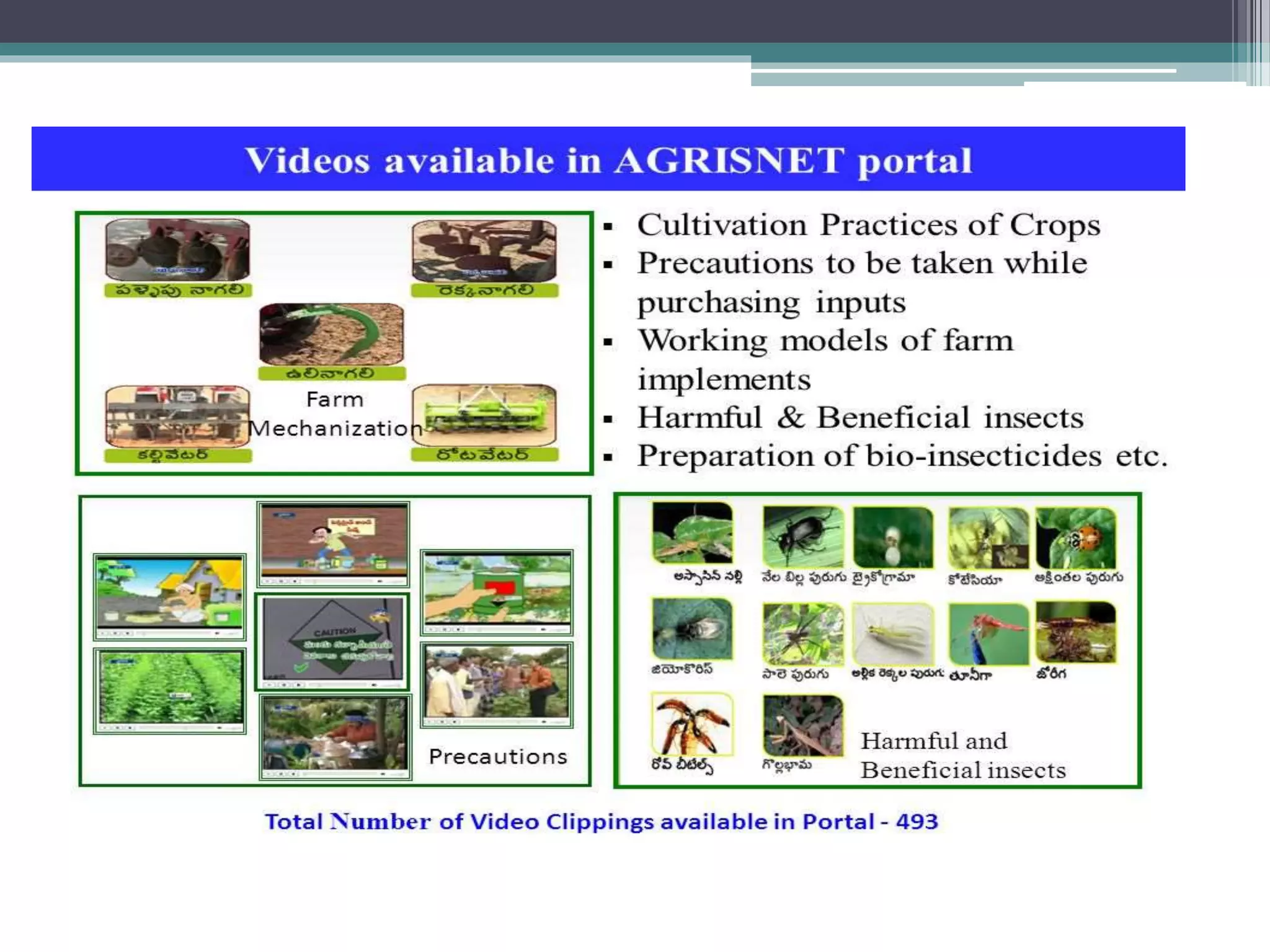 Agricultural Information System | PPTX