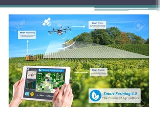 Agricultural Information System | PPTX