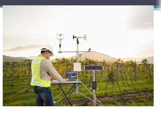 Agricultural Information System | PPTX