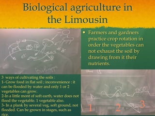Agriculture in france | PPTX