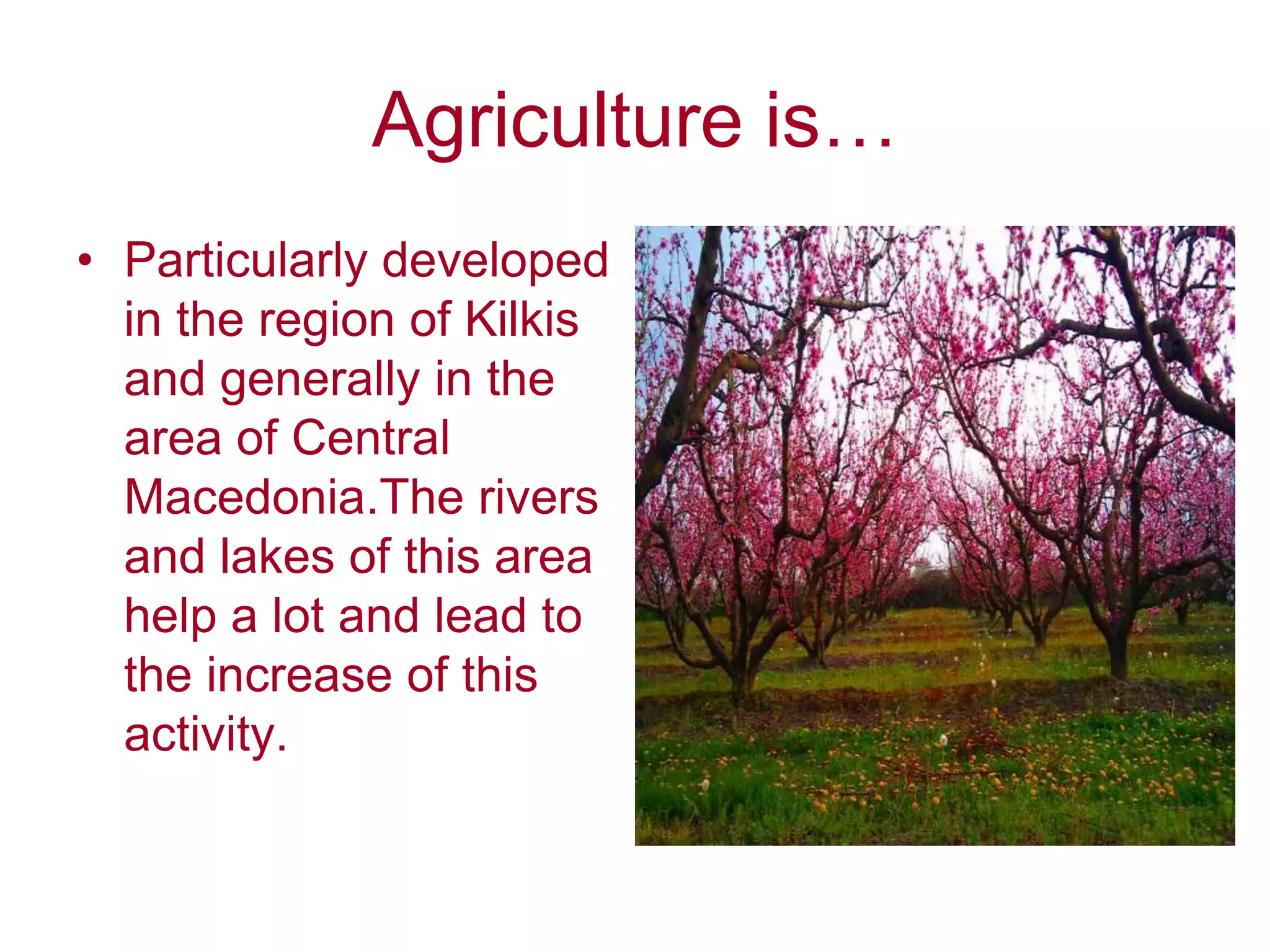 Agriculture in greece | PPTX