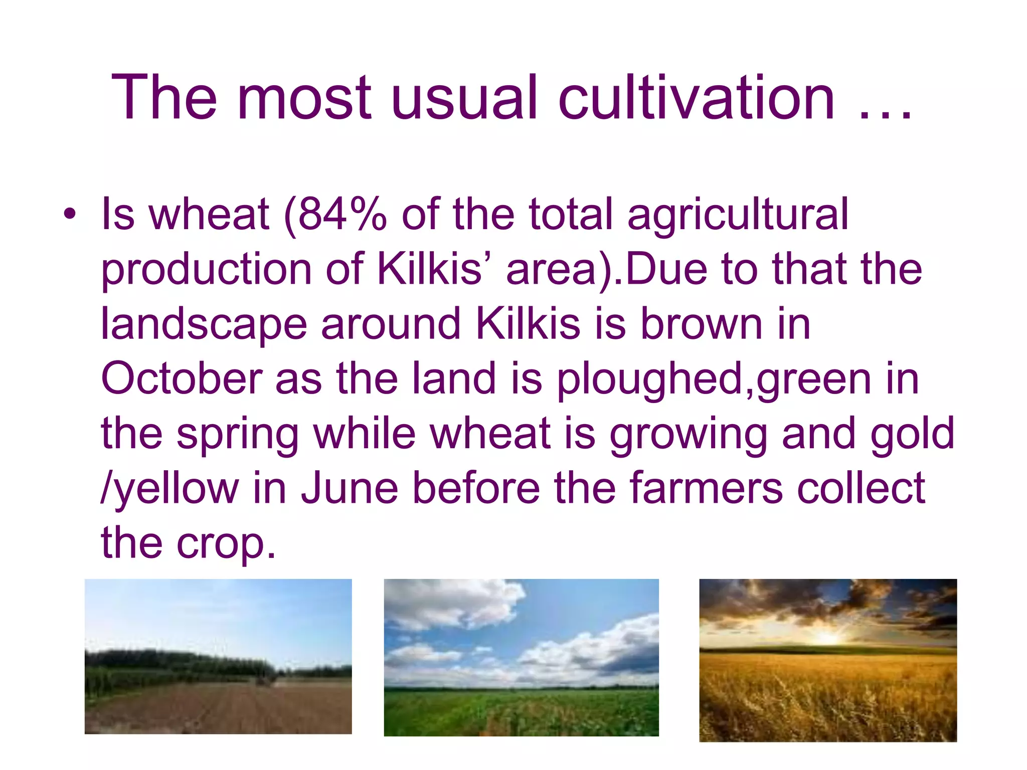 Agriculture in greece | PPTX