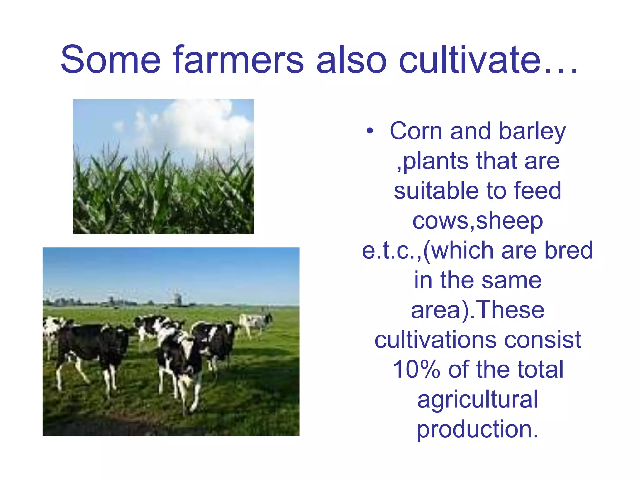 Agriculture in greece | PPTX