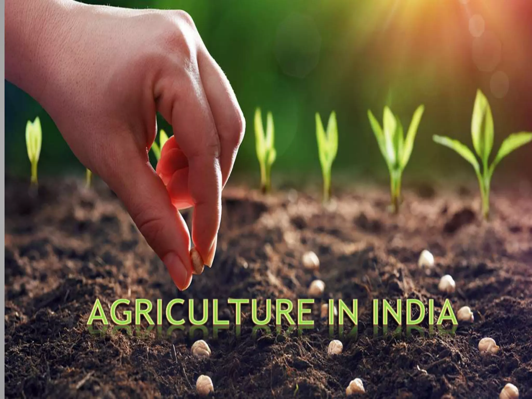Agriculture in india ppt | PPTX | Agriculture | Industries
