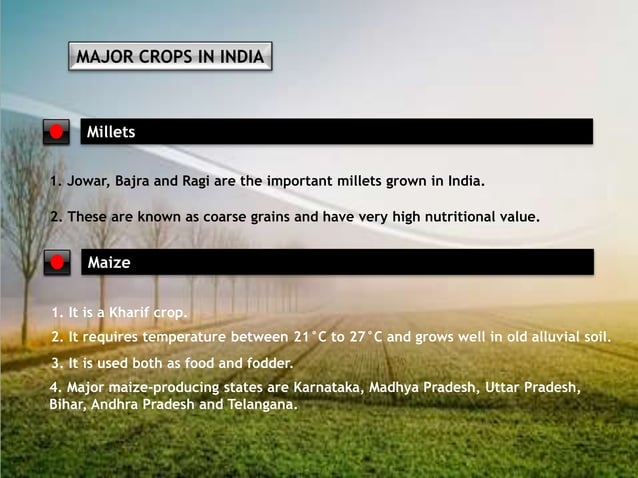 Agriculture in india ppt | PPTX | Agriculture | Industries