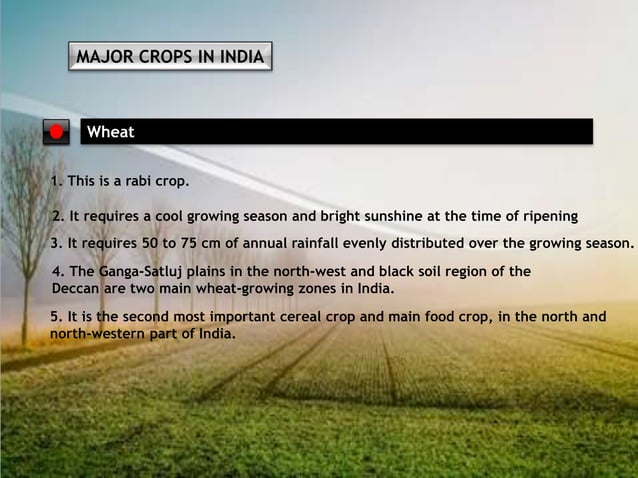 Agriculture in india ppt | PPTX | Agriculture | Industries