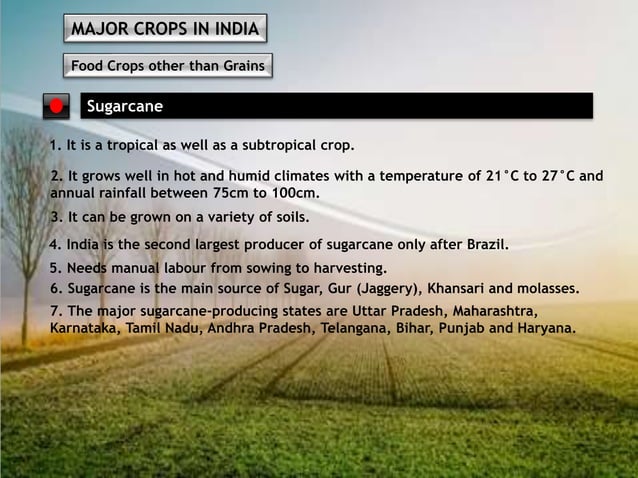 Agriculture in india ppt | PPTX | Agriculture | Industries