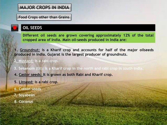 Agriculture in india ppt | PPTX | Agriculture | Industries