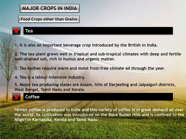Agriculture in india ppt | PPTX | Agriculture | Industries