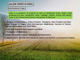 Agriculture in india ppt | PPTX