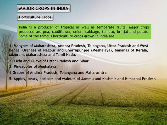 Agriculture in india ppt | PPTX | Agriculture | Industries