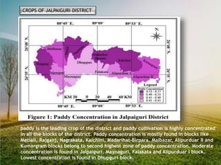 Agriculture in india ppt | PPTX