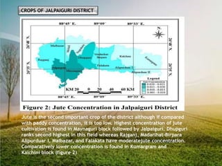 Agriculture in india ppt | PPTX