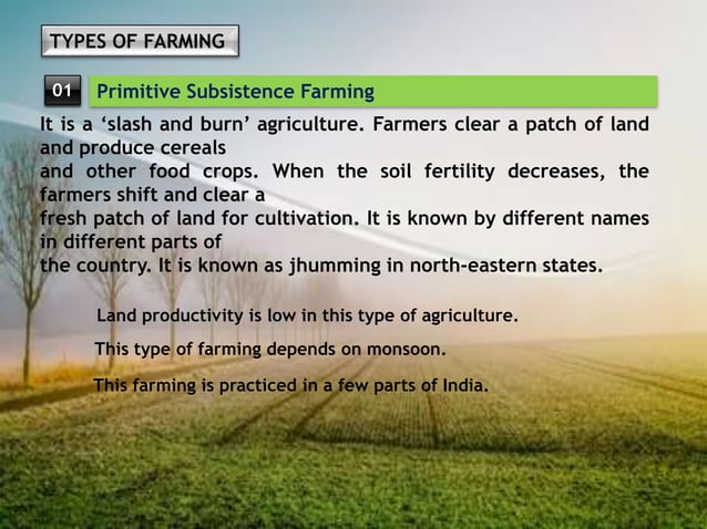 Agriculture in india ppt | PPTX | Agriculture | Industries