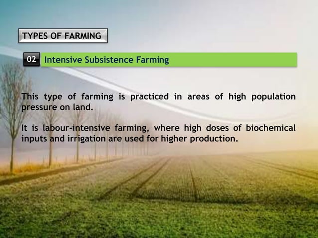 Agriculture in india ppt | PPTX | Agriculture | Industries
