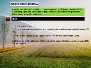 Agriculture in india ppt | PPTX