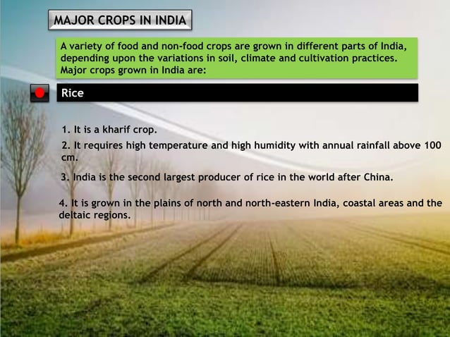 Agriculture in india ppt | PPTX | Agriculture | Industries