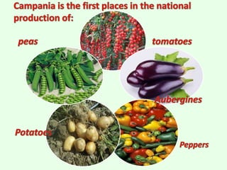 Agriculture in italy | PPT