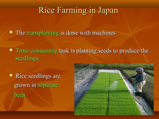 Agriculture in japan | PPT