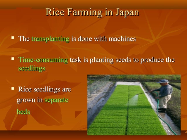 Agriculture in japan