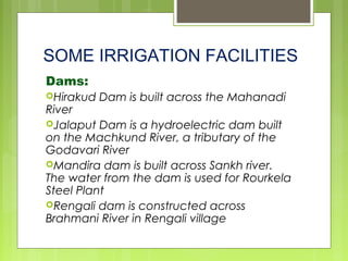 Agriculture in odisha | PPT