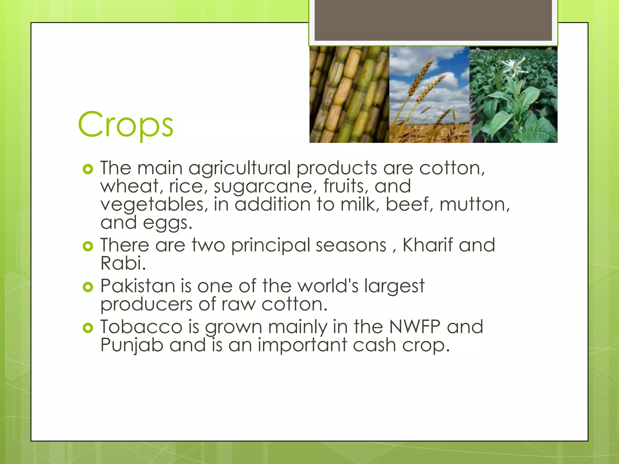 Agriculture in pakistan | PPTX