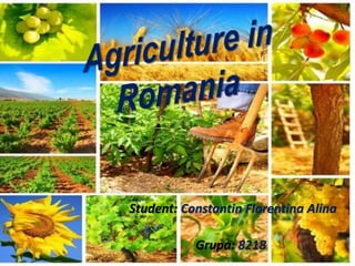 Agriculture in romania | PPT