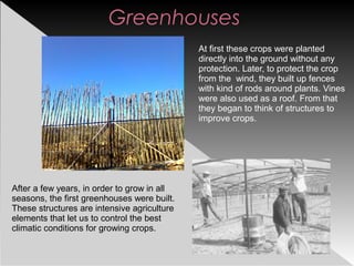 Agriculture in spain | ODP