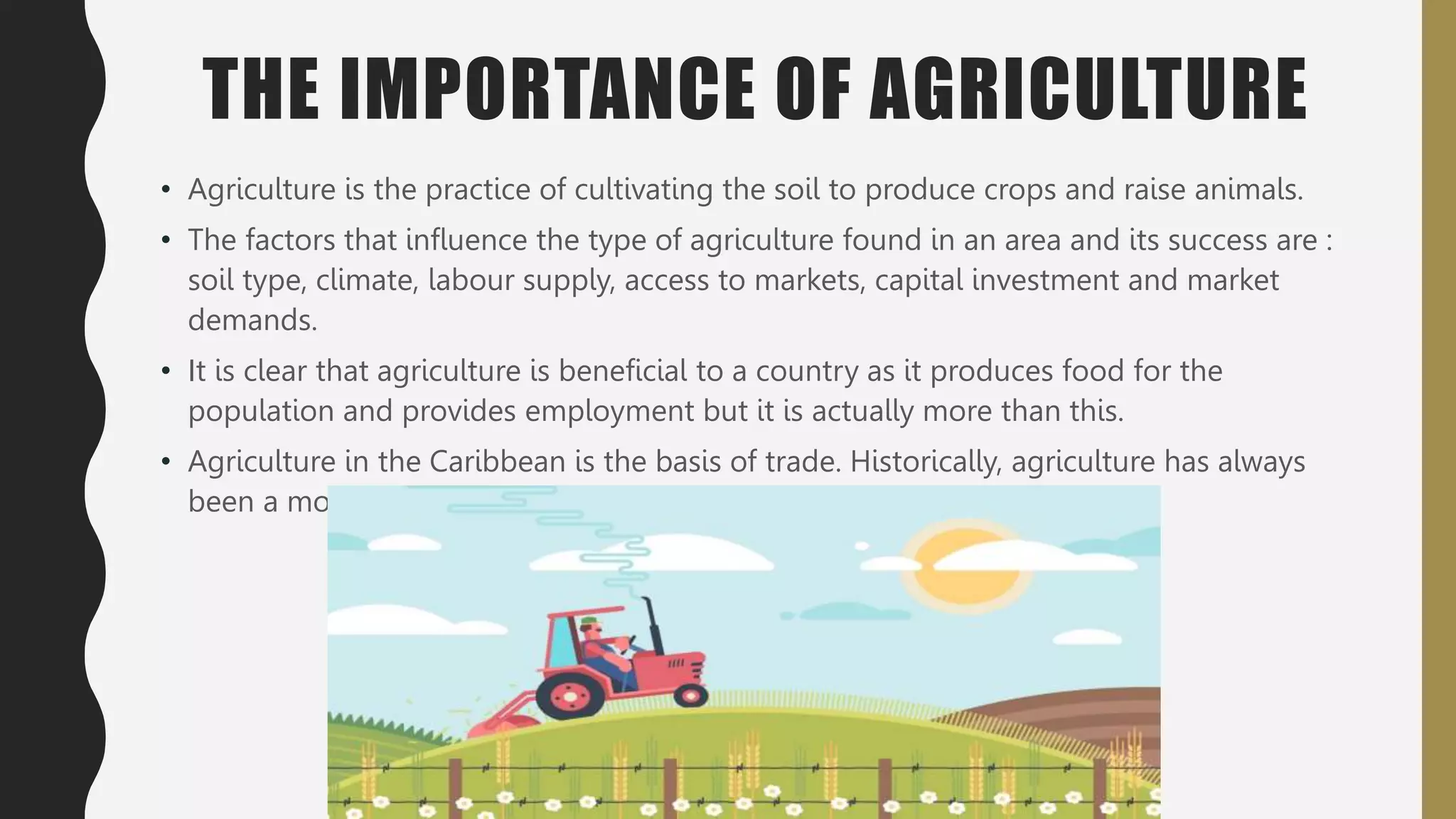 agriculture in the caribbean.pptx
