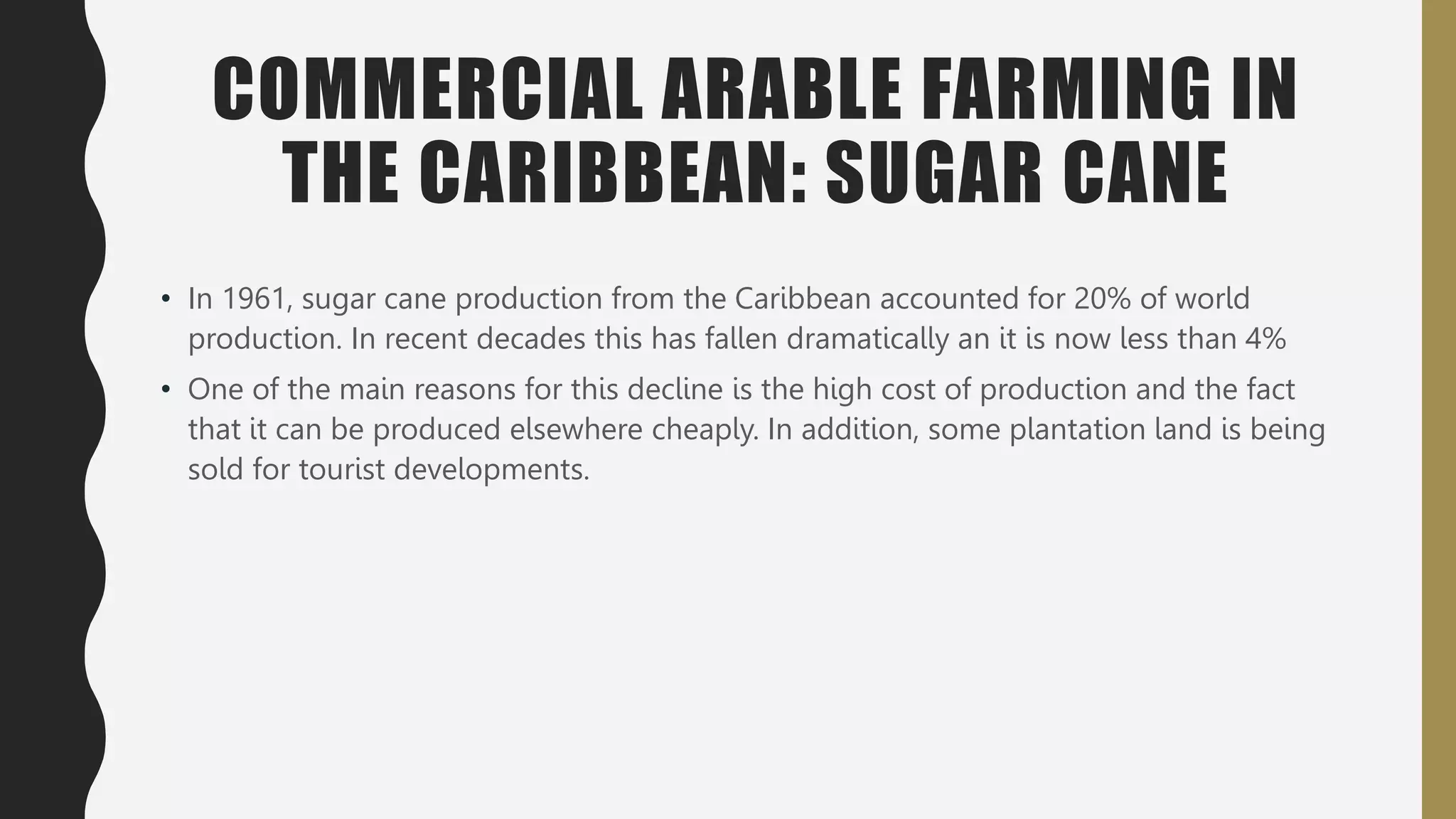agriculture in the caribbean.pptx