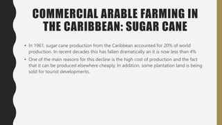 agriculture in the caribbean.pptx