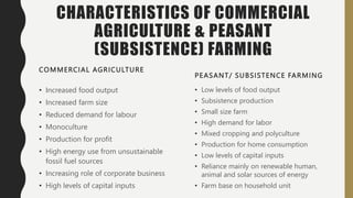 agriculture in the caribbean.pptx