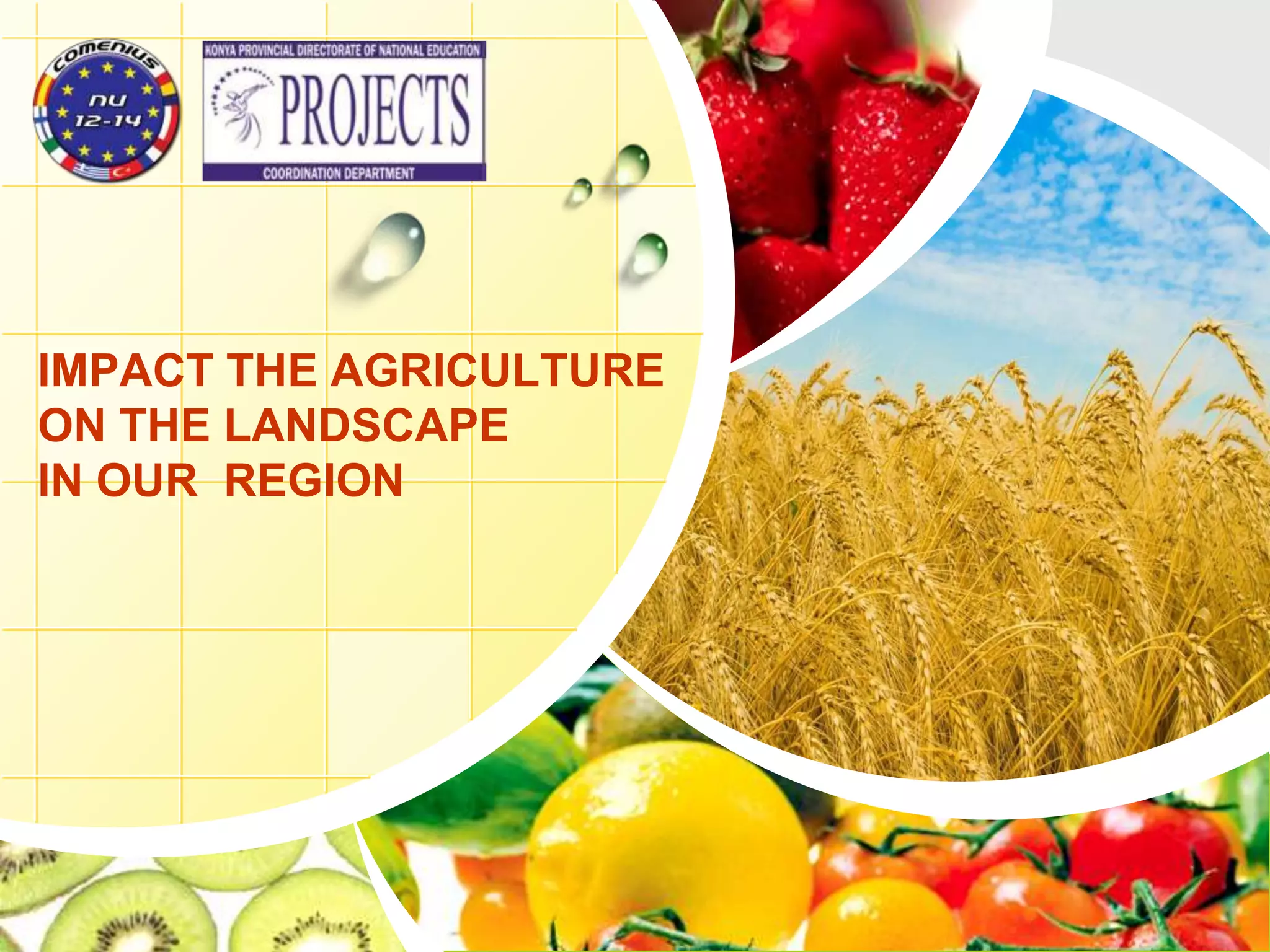 Agriculture in turkey | PPT