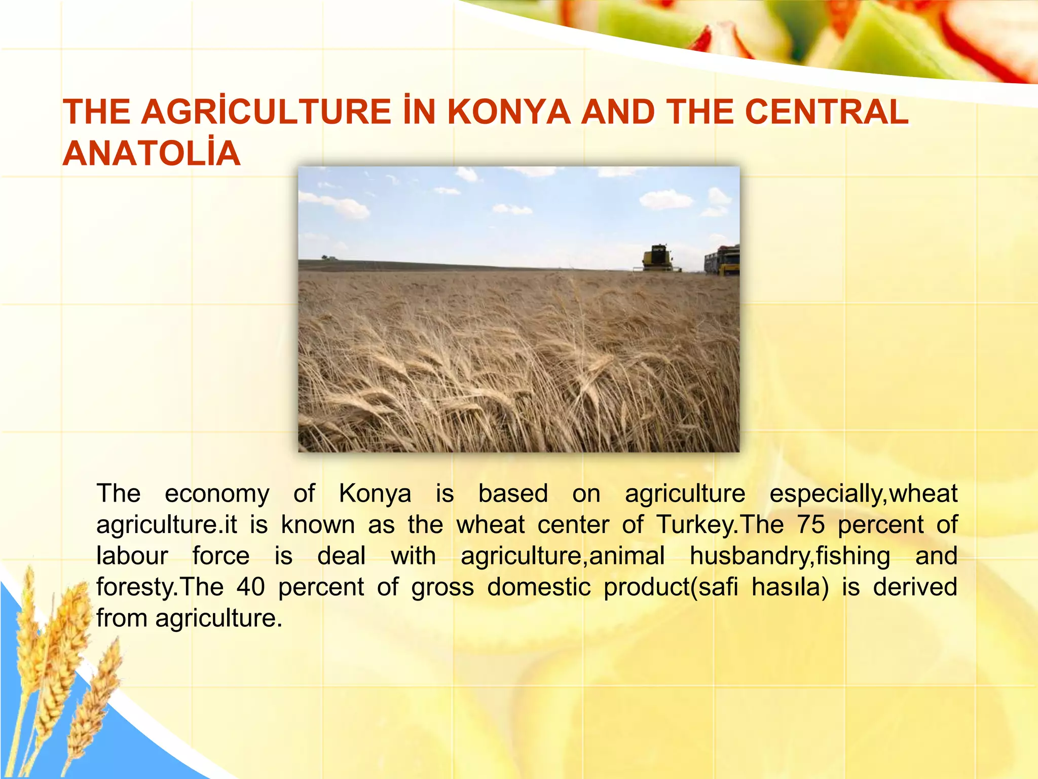 Agriculture in turkey | PPT