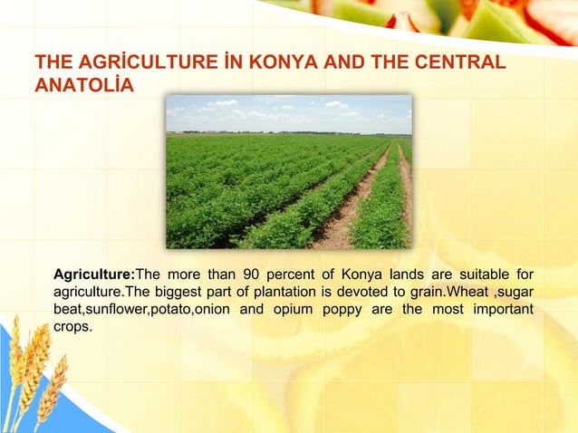 Agriculture in turkey | PPT