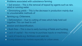AGRICULTURE IN ZAMBIA(LOZI SYSTEM).pptx