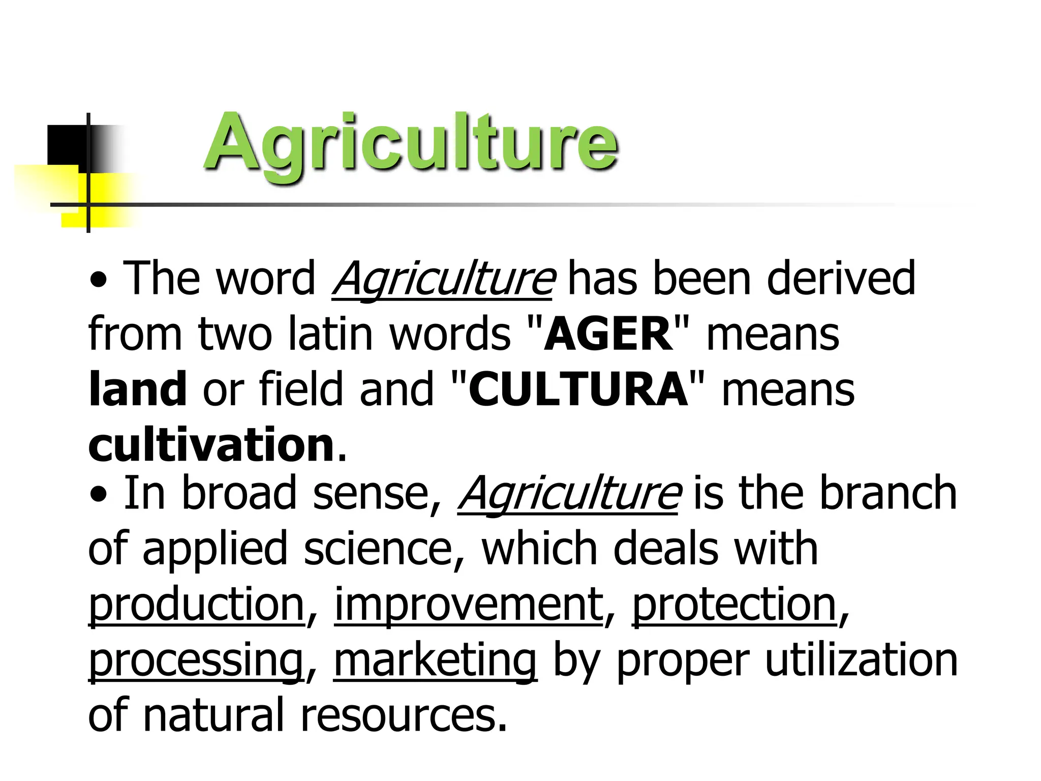 AGRICULTURE power point presentations just | PPTX