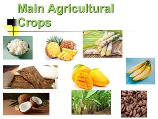 AGRICULTURE power point presentations just | PPTX