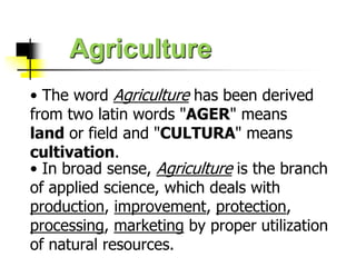 AGRICULTURE power point presentations just | PPTX