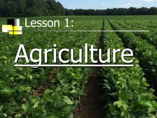 AGRICULTURE power point presentations just | PPT