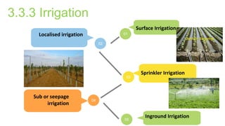 Agriculture Lesson 2.pptx Section Two IGCSE | PPTX
